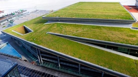 TETTI VERDI • ProgettAZIONEDesign.com